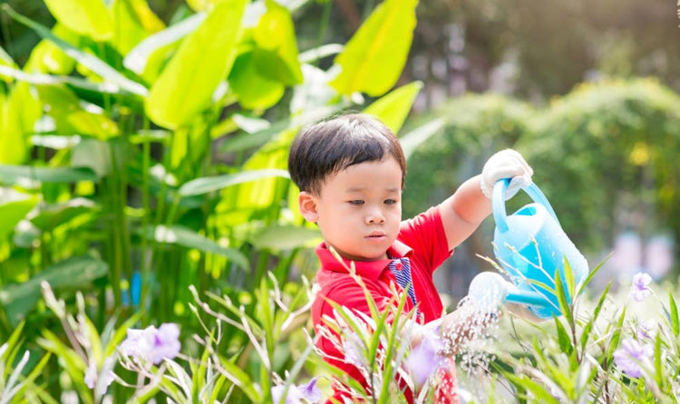 What Do Level 2 Water Restrictions Mean? - BIBO Water Australia, Blog ...